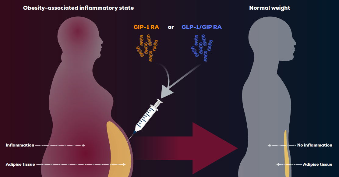 Incretins as Multi–Disease State Treatments - Petauri